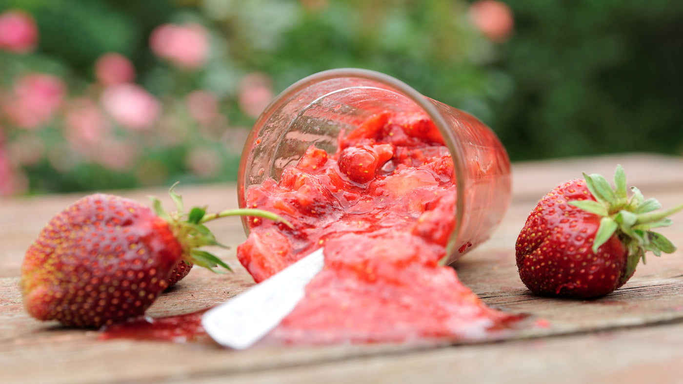 Easy Fixes for Your Top Smoothie Fails – Vega (CA)